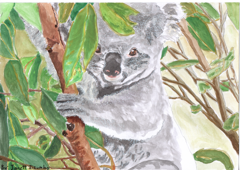 Lesson Plans – Bilingual Short Stories