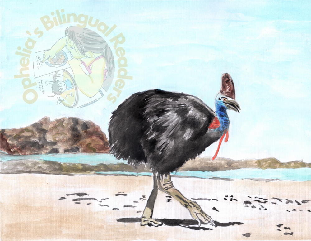 English and Spanish bilingual reader El Casuario (The Cassowary ...