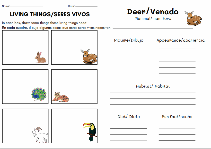 Free English and Spanish bilingual book Búsqueda del tesoro en el ...