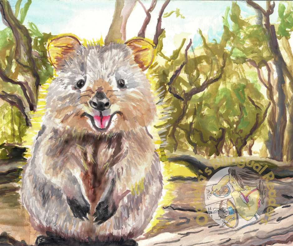 El Quokka: Bilingual English and Spanish Reader for Kids – Bilingual ...